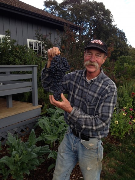 Cameron Winery - Pinot Noir and Chardonnay Why Nebbiolo?